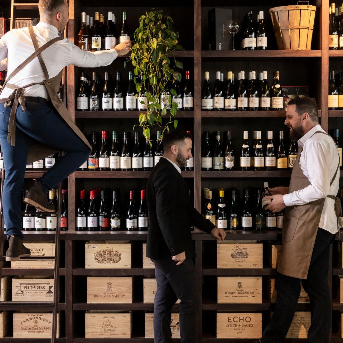 Wine Bar – Normanby Fine Wines